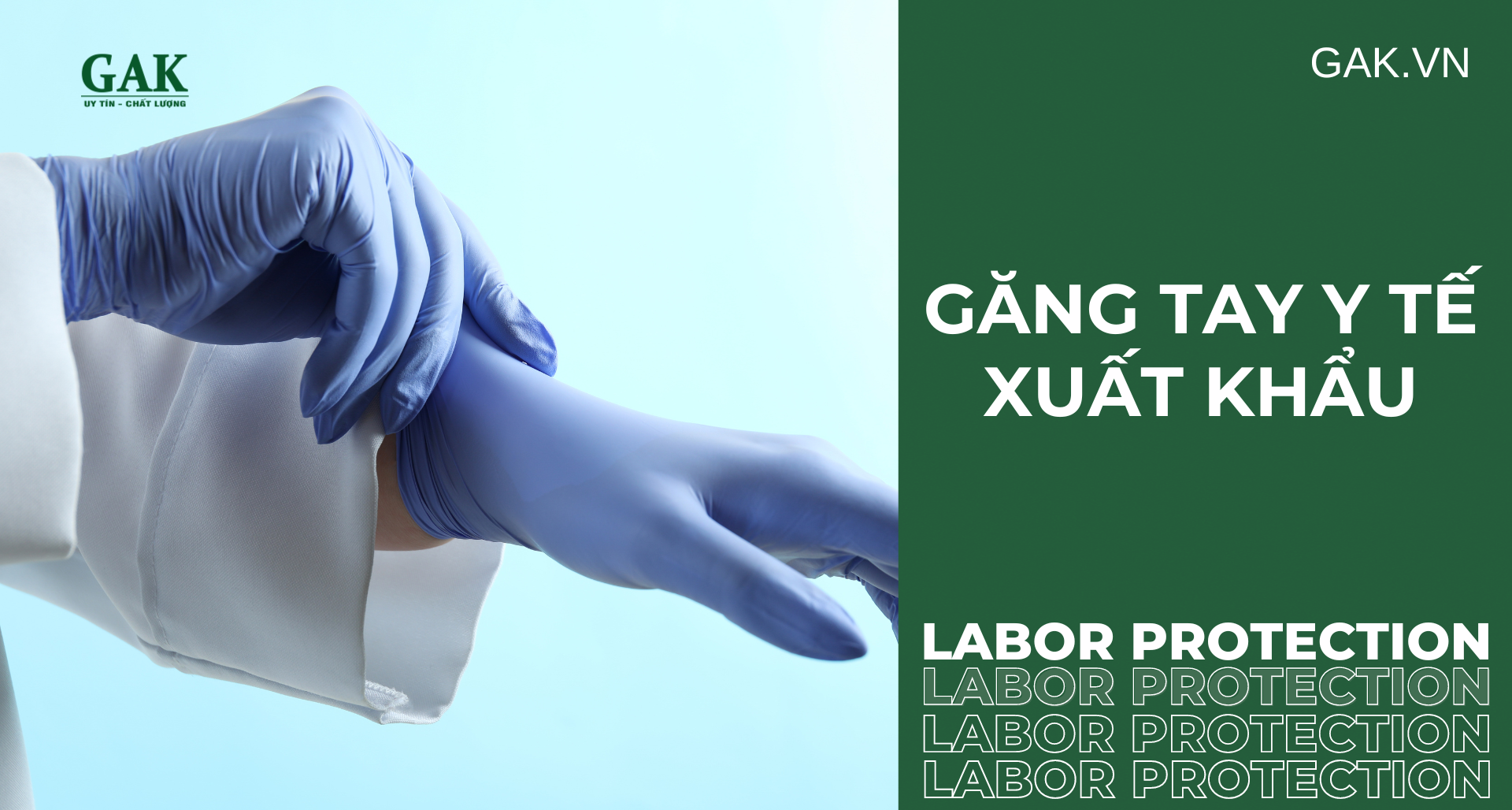 Găng tay y tế xuất khẩu là gì? Lựa chọn găng tay an toàn và chất lượng ...
